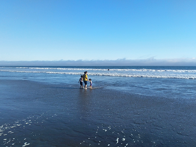 The Pacific introduces itself to tiny explorers. That water may be "refreshing" (California code for "freezing"), but childhood wonder provides natural insulation.