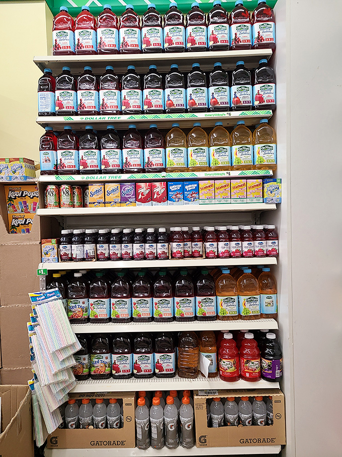 Juice and soda battalion standing at attention, ready to quench Smoky Mountain hiking thirst. Enough variety to satisfy even the pickiest vacation beverage connoisseur.