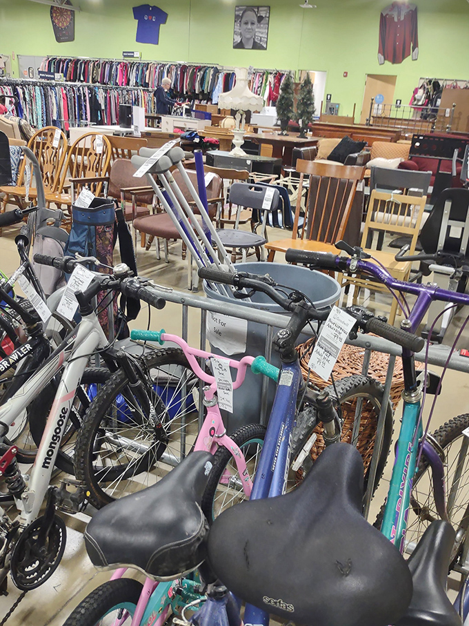Bicycles and chairs&mdash;the transportation and seating departments collide in a jumble of potential adventures and family dinners.