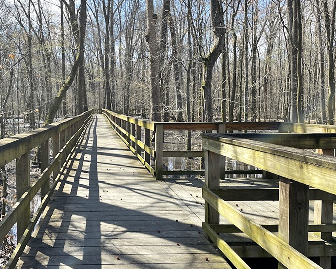 Another boardwalk view that proves the best theater seats aren't on Broadway but in Tennessee's forests, where every season brings a new show.