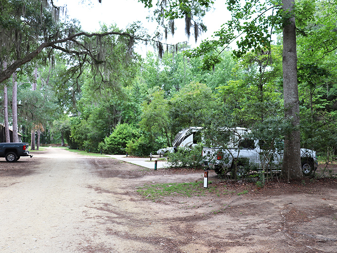Camping among Spanish moss and hardwoods&mdash;nature's five-star accommodations. No room service, but the night sky puts on quite a show.