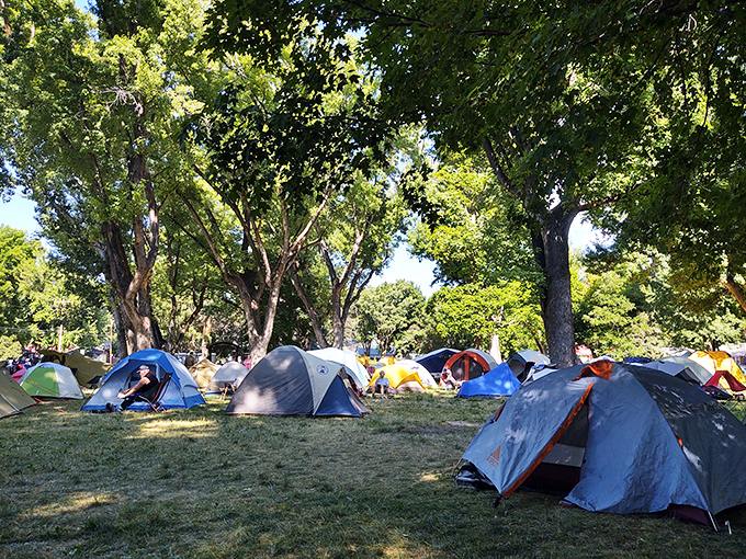 Camping under Paonia's canopy of trees offers a five-billion-star hotel experience. No room service, but the complimentary sunrise is worth it.