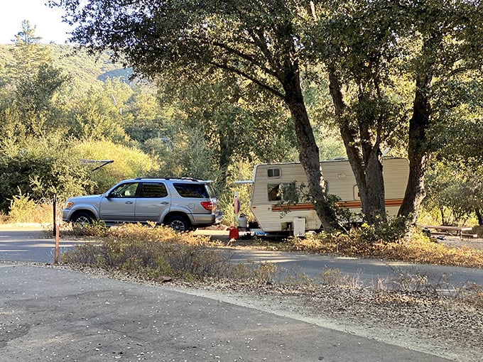 Camping under Julian's stars beats any five-star hotel for genuine soul restoration.