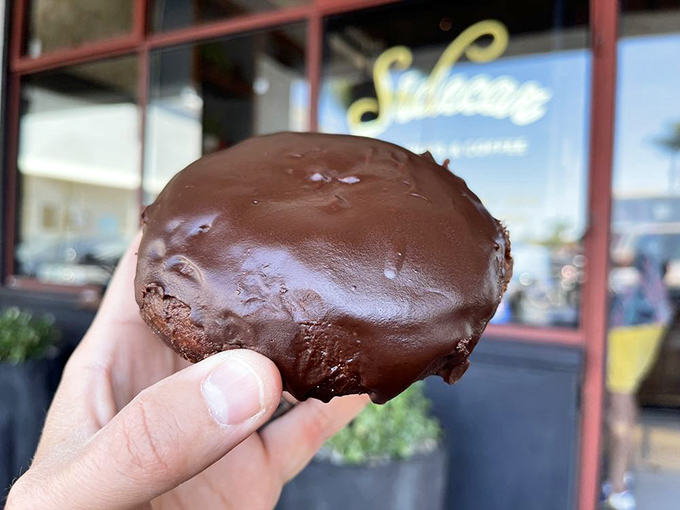 A chocolate donut so rich it should come with its own tax bracket. The glossy ganache practically winks at you.