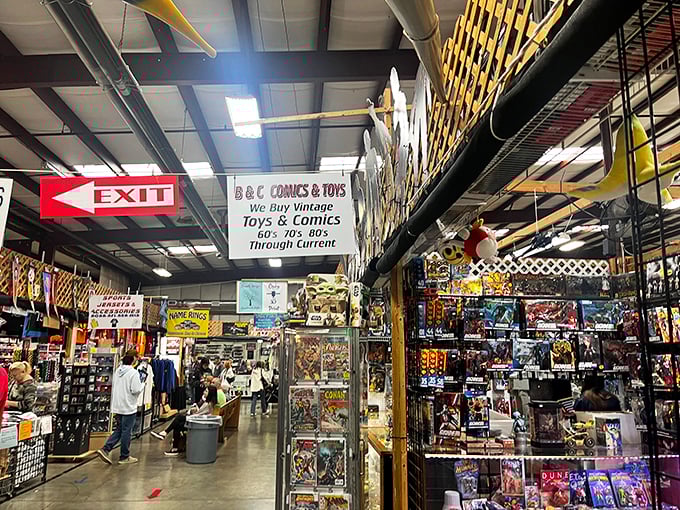 Comic book paradise awaits collectors and casual fans alike. That sign promising vintage toys might be the most dangerous words ever written. 