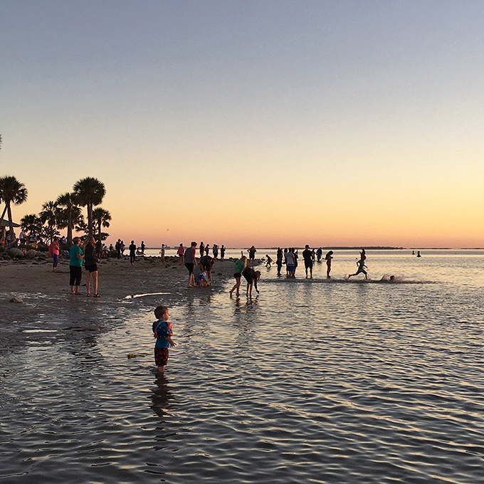Golden hour transforms ordinary moments into magic. When the sun starts its descent, strangers become community, united by nature's nightly masterpiece.