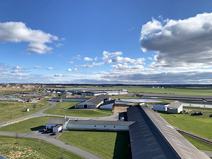 Beyond the manicured lawns and rolling fields of Kreider Farms lies the agricultural heart that has sustained this region for generations.