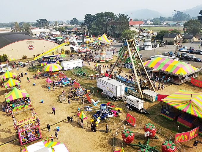 Ferndale's fairgrounds transform for annual celebrations like the county fair, where cotton candy, carnival rides, and community spirit create memories that last generations.