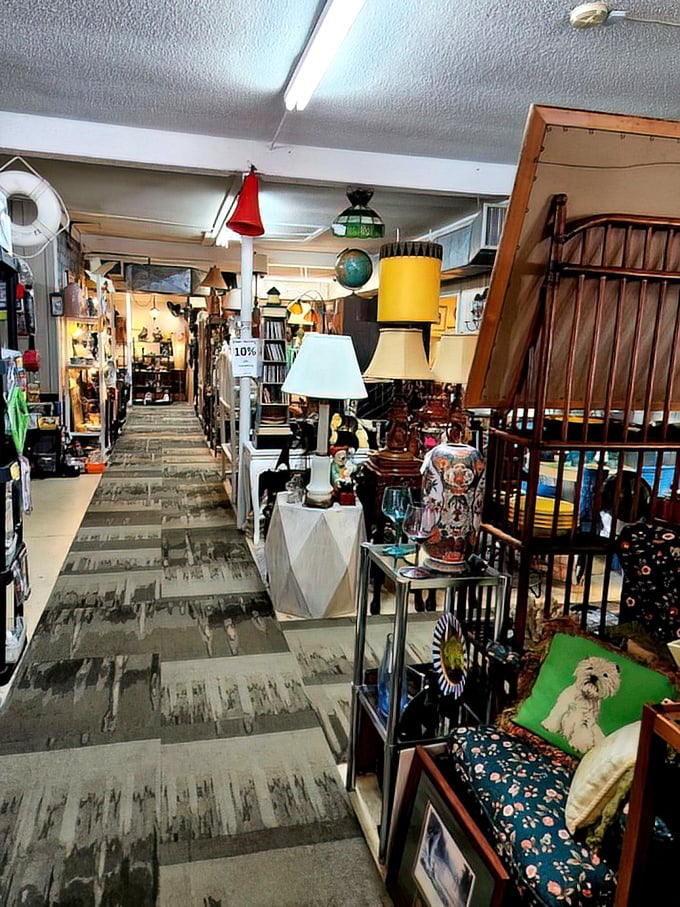 Lamps of every era illuminate pathways through history. That dog pillow is judging your hesitation to adopt it and its mid-century chair.