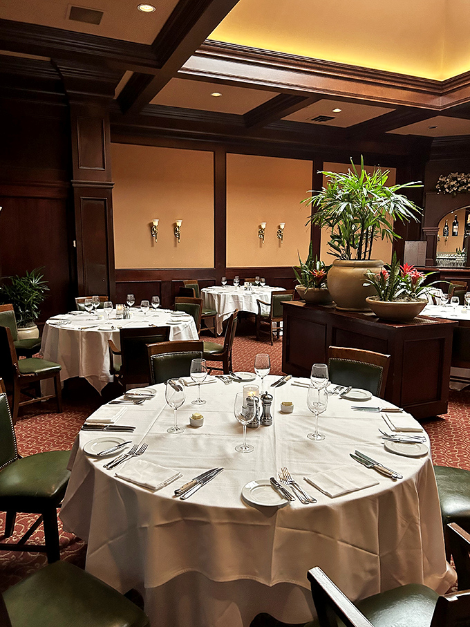 The dining room buzzes with the kind of energy that only comes from truly exceptional food and service.
