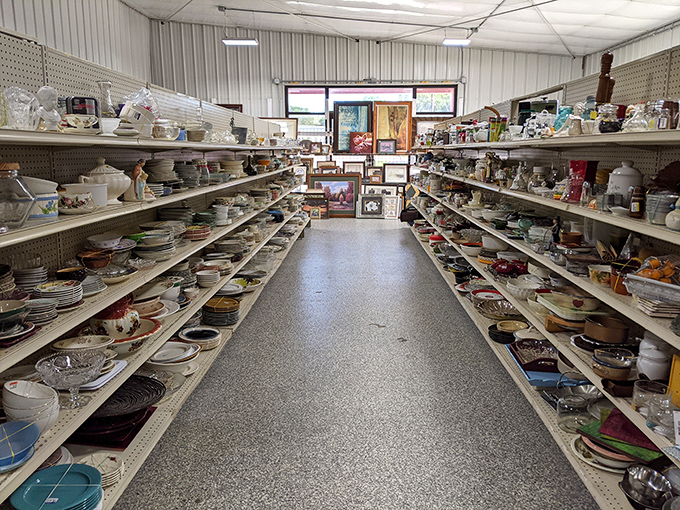 The dishware aisle: a ceramic time capsule where your grandmother's china pattern sits waiting to complete your set after that unfortunate Thanksgiving gravy incident.