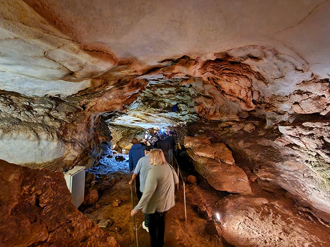 Follow the light into geological history. Guided tours reveal the cavern's secrets while strategically placed lighting showcases nature's underground artistry.