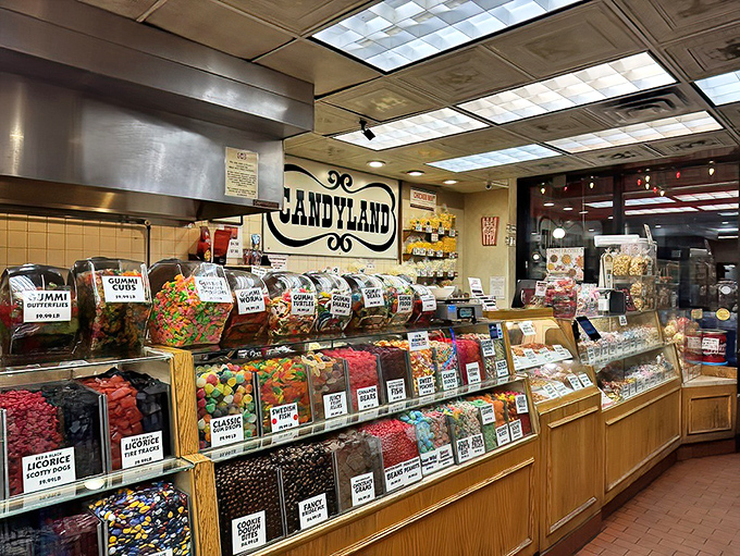 Candy bins stretching into the distance like a sugar-coated horizon &ndash; the adult equivalent of that "kid in a candy store" feeling.