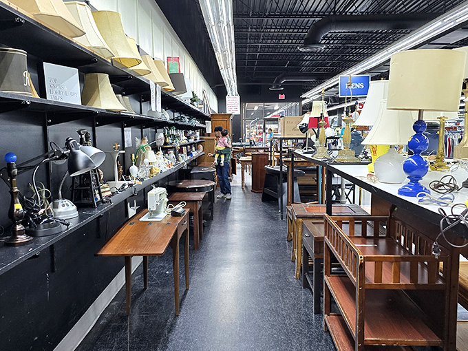 Lamp row: where lighting fixtures from six different decades stand shoulder to shoulder like contestants in a beauty pageant.