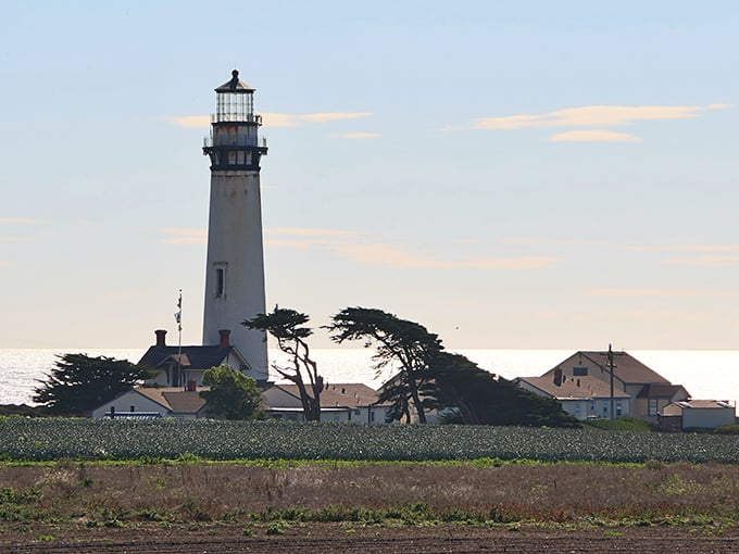 Pigeon Point Lighthouse has guided mariners safely home since 1872. Like a wise sentinel keeping watch over the Pacific's moody temperament.