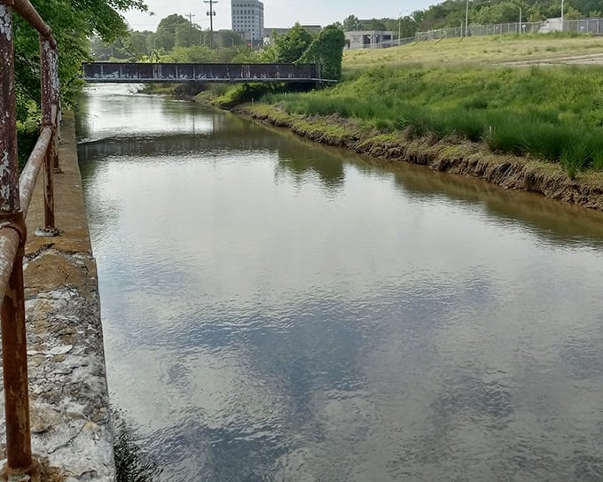 Reflections dance on the Dan River's surface, creating a tranquil counterpoint to the urban landscape visible just beyond its peaceful banks.