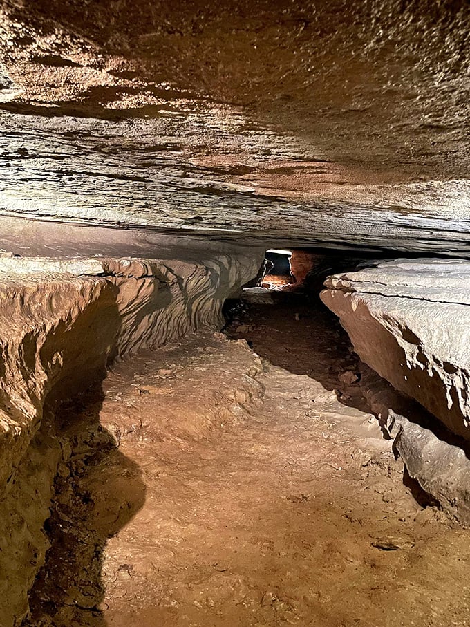 This narrow passage whispers secrets of prehistoric times as visitors follow the same path that water carved through solid limestone.