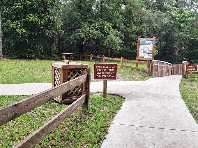 The park's thoughtful pathways guide visitors while protecting the delicate ecosystem. Nature appreciated but not trampled&mdash;as it should be.