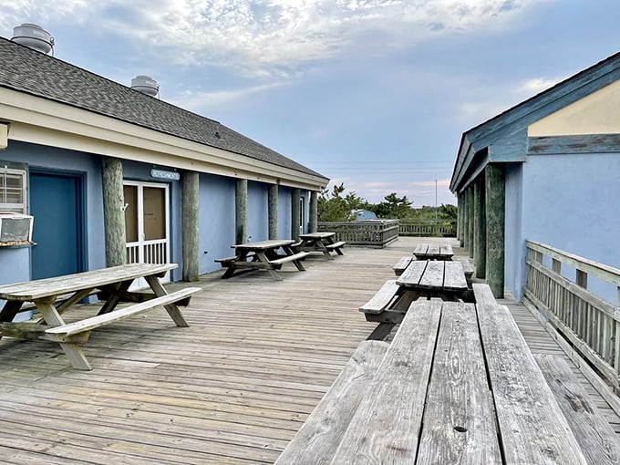 Picnic tables with million-dollar views. The only seaside dining experience where sandy feet are considered appropriate dinner attire.
