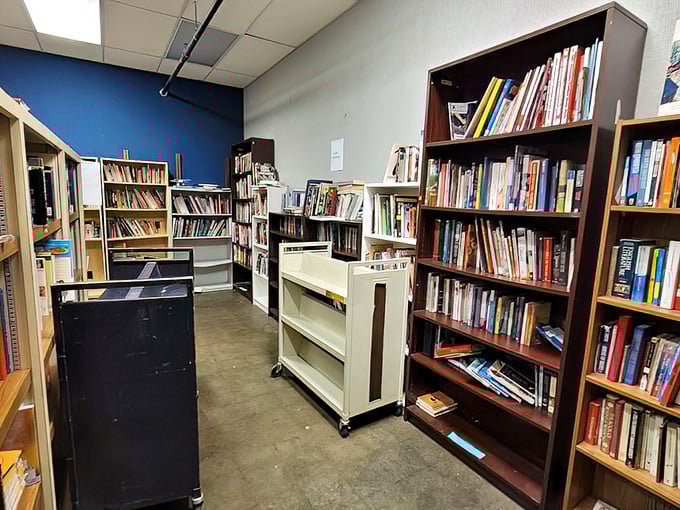 More than just bookshelves&mdash;these are portals to other worlds at bargain prices, organized just enough to make treasure hunting exciting.