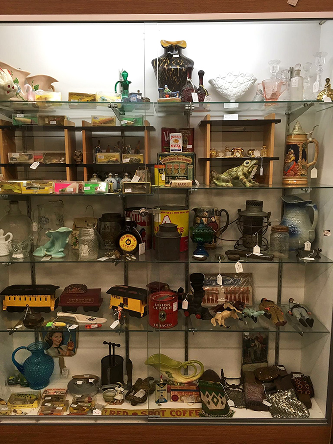 Glass cases protecting treasures both whimsical and wonderful&mdash;each shelf a museum curator's dream and a spouse's storage nightmare.
