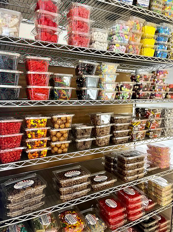 Bags of colorful confections line metal shelves like a candy library, each package a different chapter in the story of American sweet tooth satisfaction.