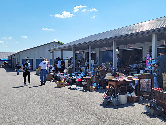 The outdoor market dance: vendors arranging their finds while early birds circle, ready to swoop in for the good stuff.