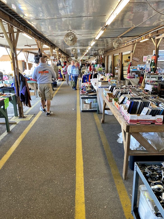 The yellow line isn't just a path&mdash;it's your yellow brick road to discoveries that range from practical necessities to delightful absurdities.