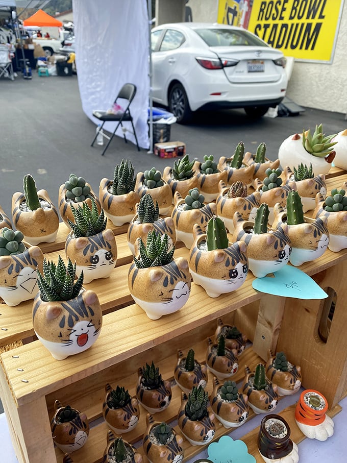 These cat-shaped succulent planters are the perfect intersection of "crazy plant person" and "crazy cat person."
