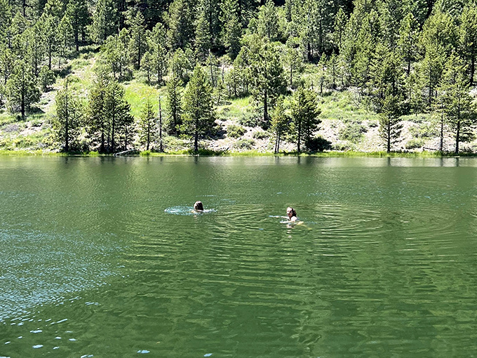 Swimming in alpine waters: initially shocking to your system, ultimately rejuvenating to your soul. Worth every goosebump.