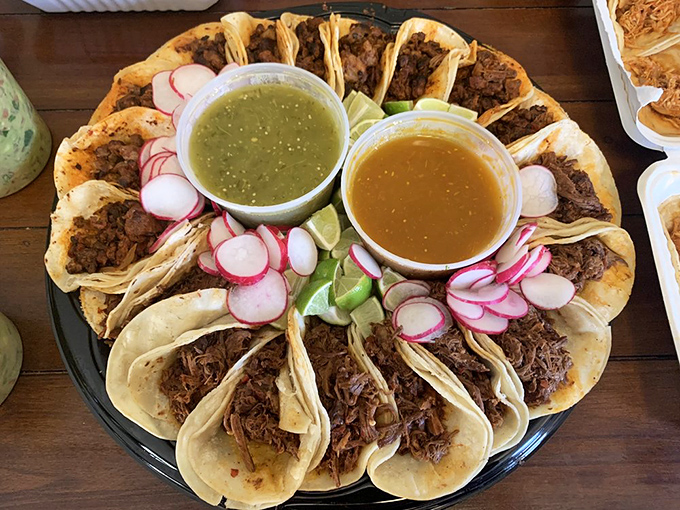 A taco platter arranged with the precision of a Swiss watchmaker. Each one a perfect bite-sized ambassador of Mexican culinary diplomacy.