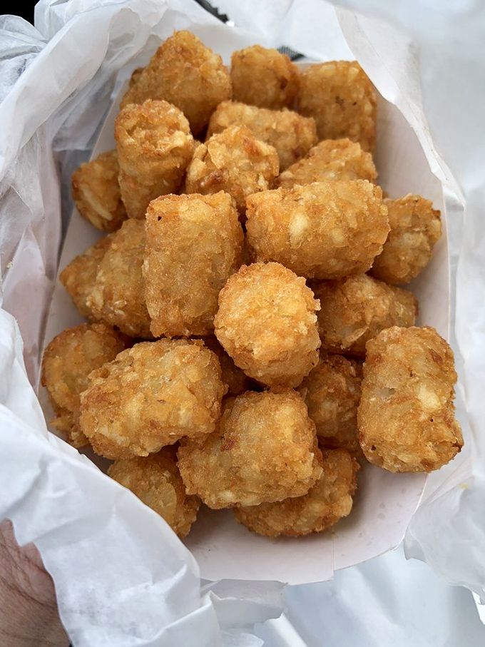 Tater tots &ndash; the childhood favorite that never lost its appeal. These golden nuggets of potato perfection make a compelling case for never growing up.