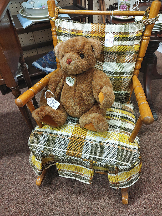 This teddy bear has seen things. Now he waits patiently in his plaid throne for the next child's adventures.