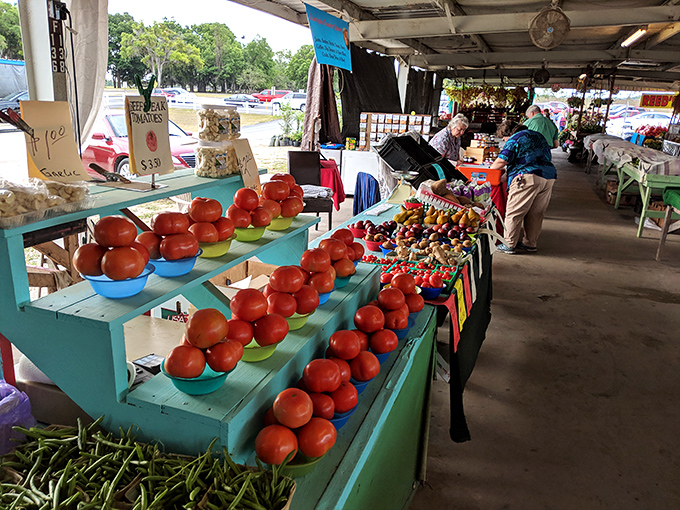 Tomatoes so red they'd make a stop sign jealous. Florida sunshine captured in edible form, arranged with farmstand pride.