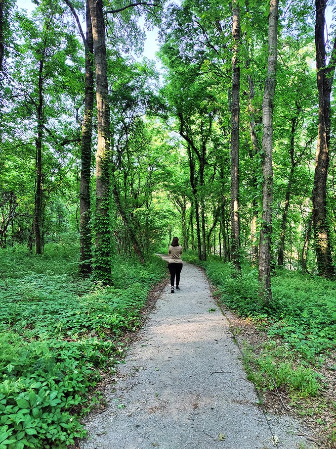 Walking trails through Greenville's lush forests offer a cool respite from summer heat and a reminder that nature's air conditioning works beautifully.