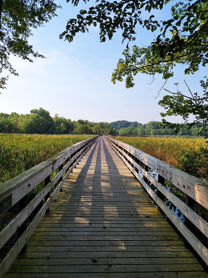 This wooden boardwalk stretches toward forever, inviting contemplative strolls through marshlands where time seems to slow its pace.