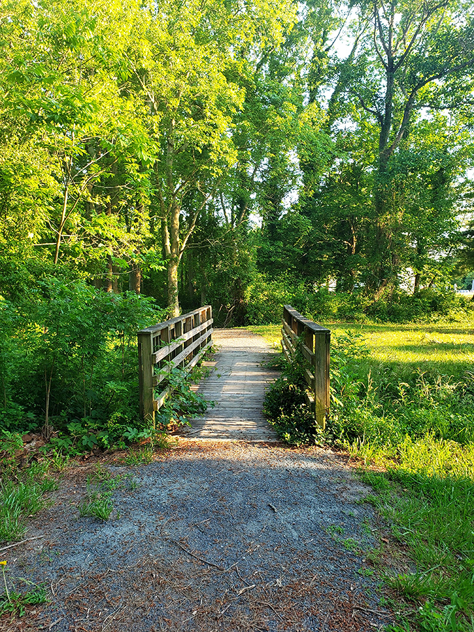 This wooden footbridge invites visitors to literally walk into a postcard, where the only notification you'll receive is from Mother Nature herself.