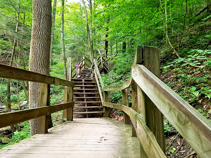 These wooden steps don't just lead through the forest&mdash;they're an invitation to adventure that your FitBit will thank you for accepting.
