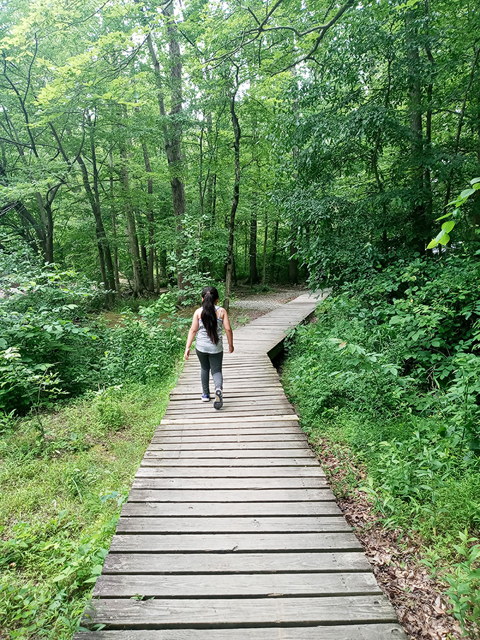 Wooden pathways lead adventurers through Newark's lush green spaces, promising tranquility just steps from urban conveniences.