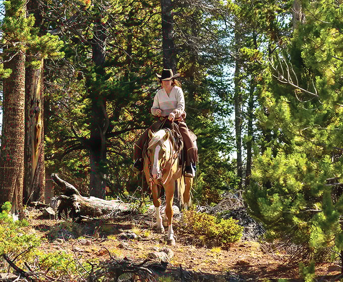 Trail riding through dappled sunlight&mdash;where the only notifications you'll receive are from nature herself, delivered on horseback.