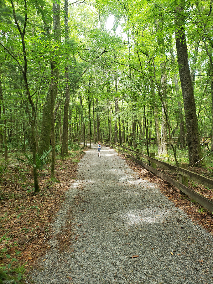 The shaded trail offers respite from Florida's notorious heat &ndash; like walking through nature's air conditioning system with photosynthesis as the power source.