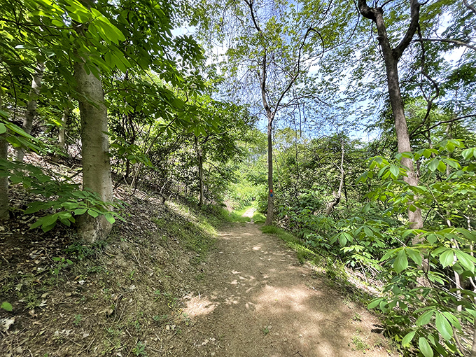 Wooded trails offer peaceful retreats just minutes from downtown. A reminder that nature's therapy comes without a co-pay in Ashland.