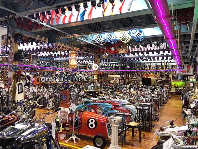 The museum's sprawling interior feels like stepping into a bicycle hoarder's fever dream&mdash;if that hoarder had impeccable taste and organizational skills.
