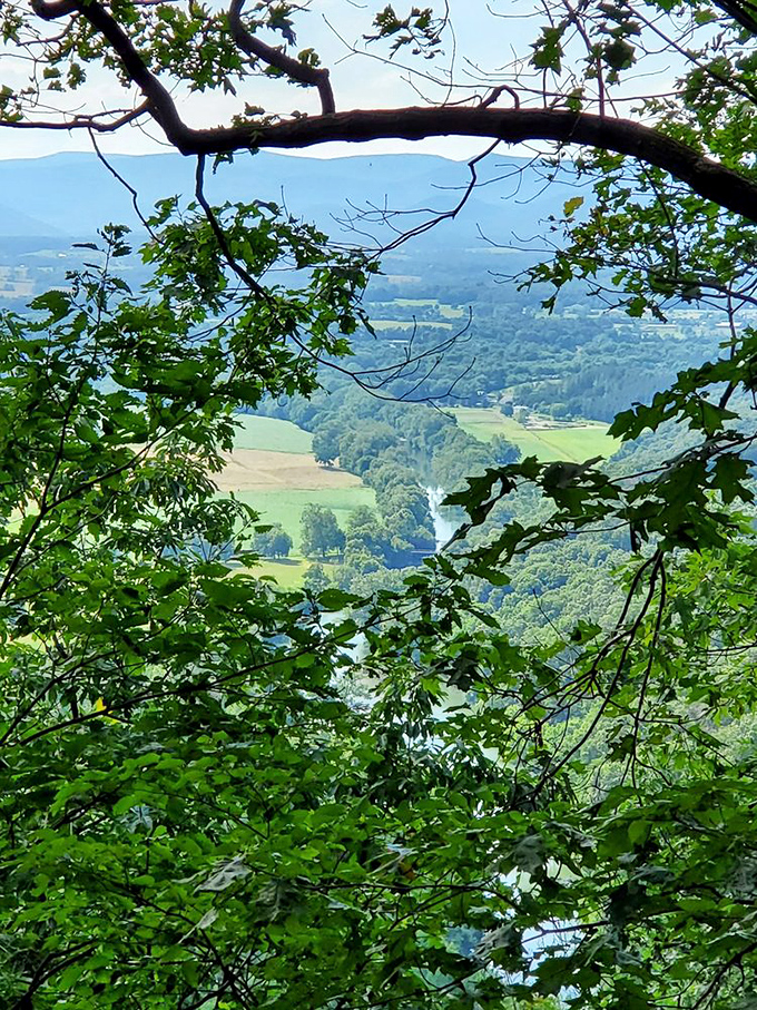 Valley views that stretch like a living postcard, proving Virginia's beauty needs no Instagram filter.