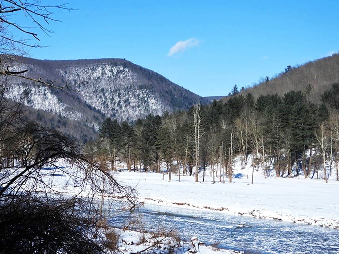 Winter transforms Little Pine Creek into a monochrome masterpiece. Snow-dusted mountains stand like powdered-sugar desserts against the blue sky.