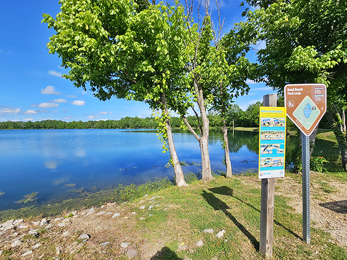 Bolivar's courthouse stands proud, like the architectural equivalent of a southern gentleman in a seersucker suit.