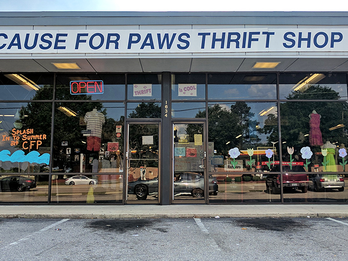 Cause for Paws' storefront window displays showcase seasonal finds while reminding shoppers their purchases help furry friends.