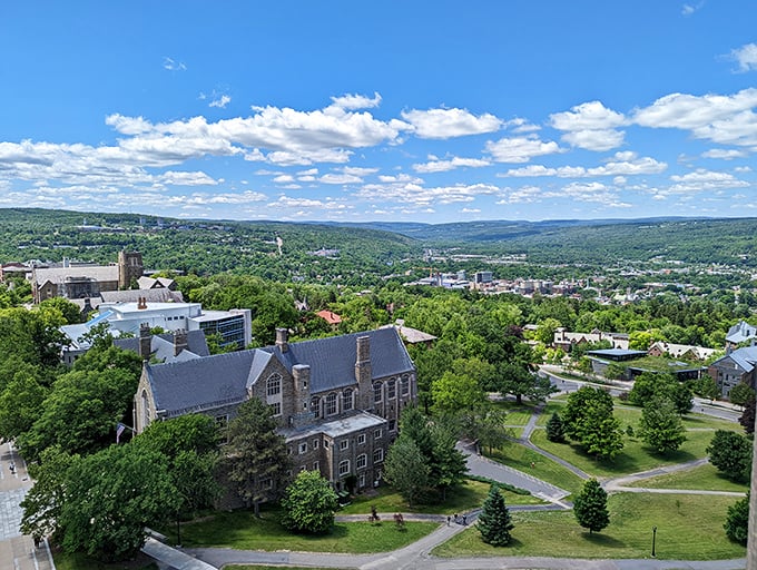 Ithaca's hillside campus views remind us that education and natural beauty create the perfect retirement backdrop for curious minds.