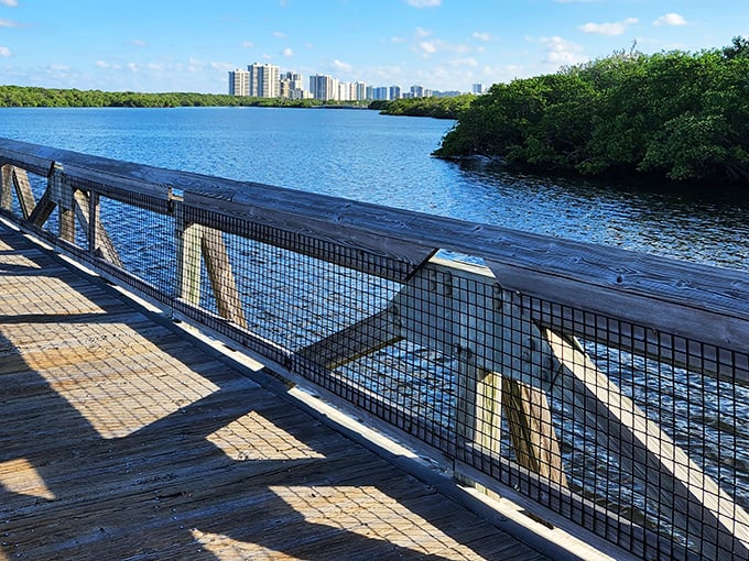 This park's boardwalks lead to views that make you wonder why you ever waste time scrolling through social media.