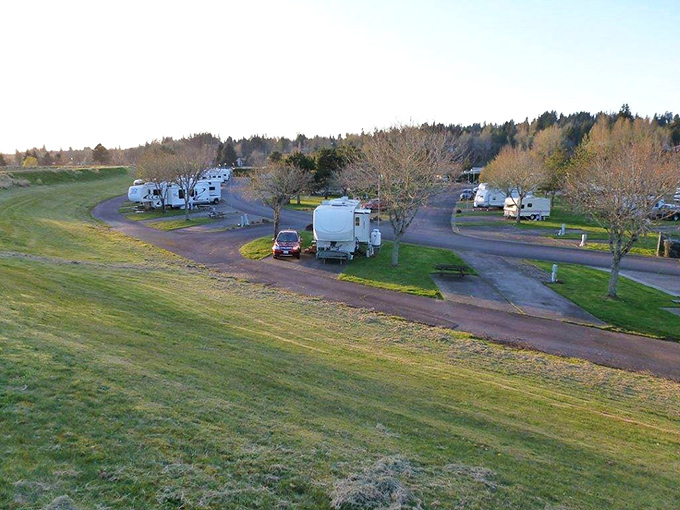 Kelso's riverside RV park offers affordable adventure&mdash;proving you don't need a five-star hotel to wake up to a million-dollar view.